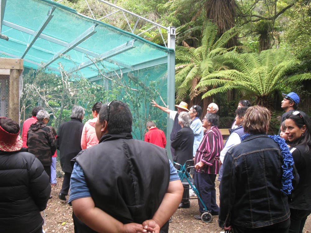 Poutiri Ao ō Tāne | Maungaharuru-Tangitu Trust