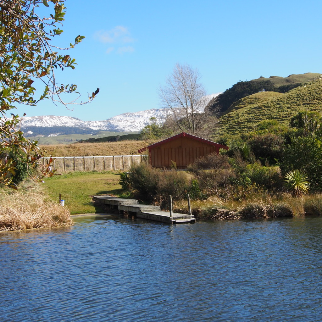 Tuku Whenua | Maungaharuru-Tangitu Trust