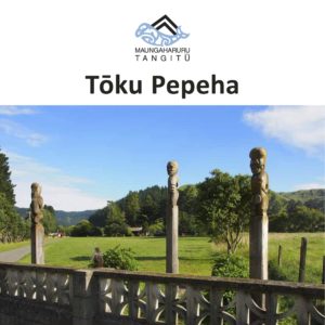 Pukapuka – Tōku Pepeha | Maungaharuru-Tangitu Trust