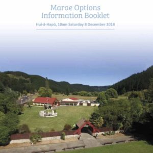 Marae Options Video: Preparing our Marae for the future | Maungaharuru ...